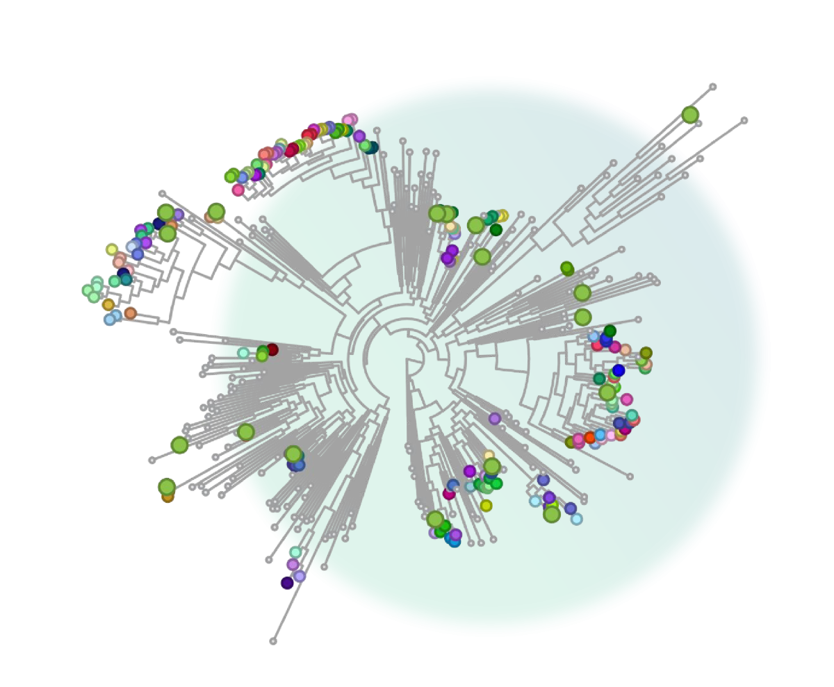 3DM Engineering - Bio-Prodict